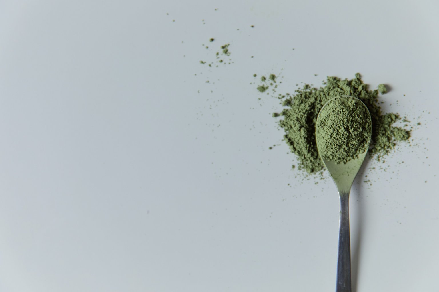Celery Powder: What Is It and Why It's So Popular - Superb Salt