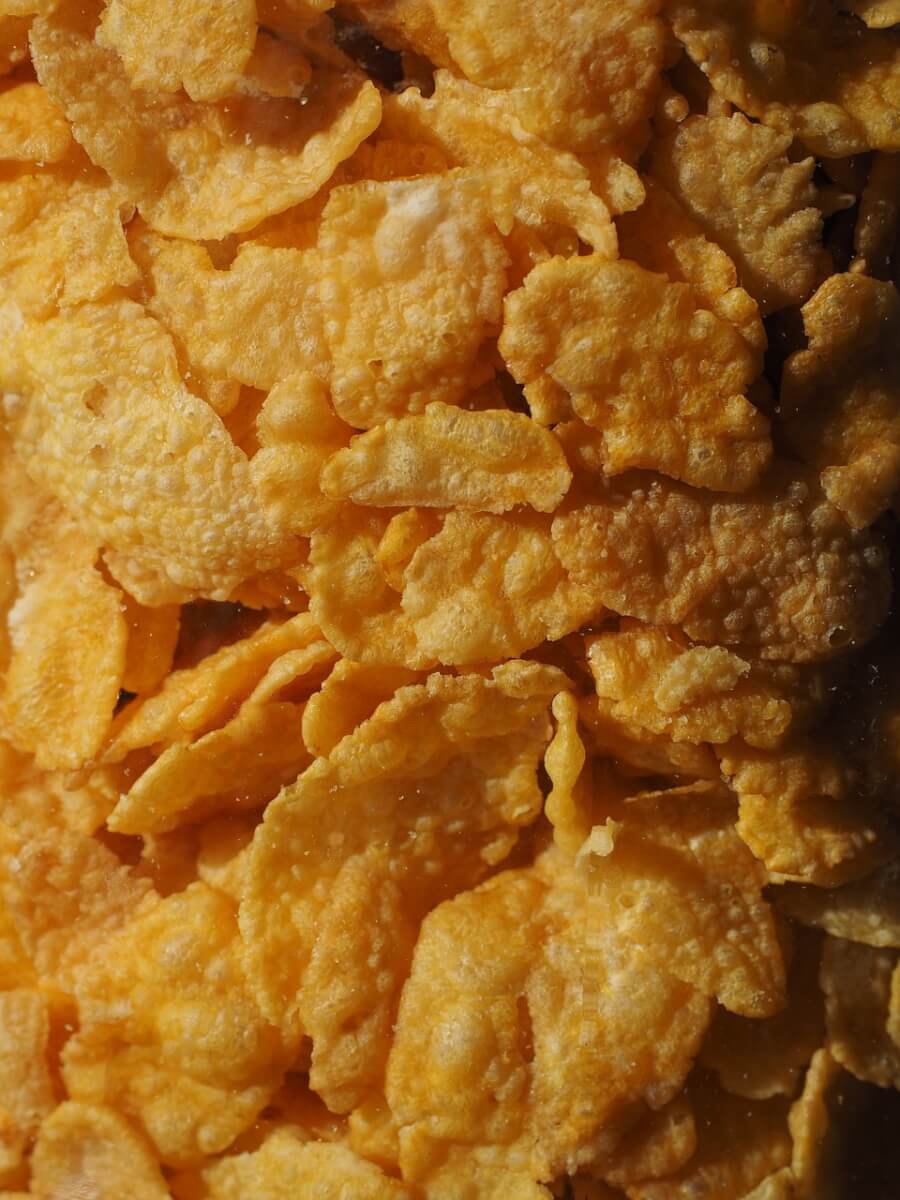 7 Best Substitutes for Graham Crackers - Superb Salt