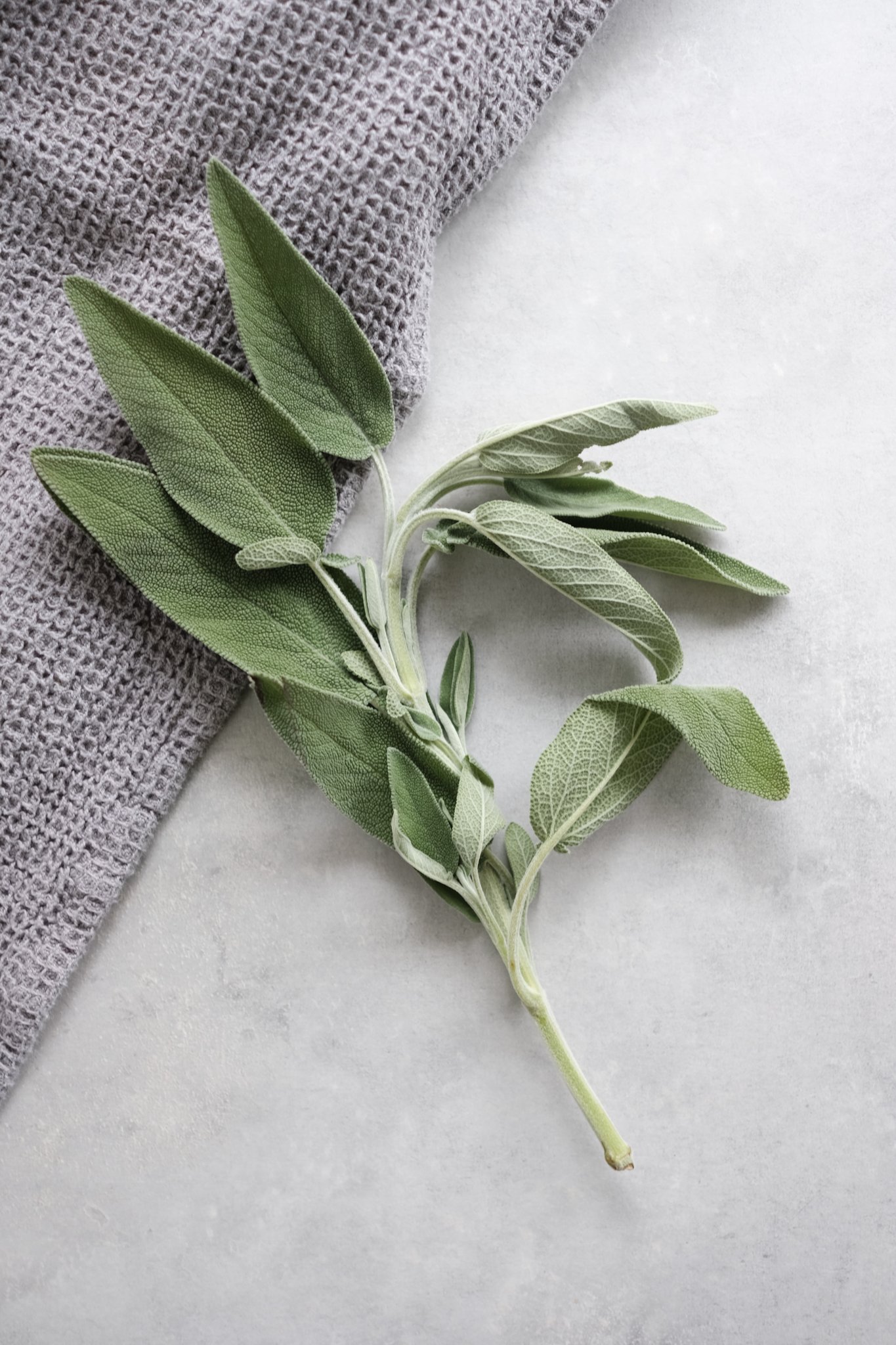 8 Best Substitutes for Savory - Superb Salt