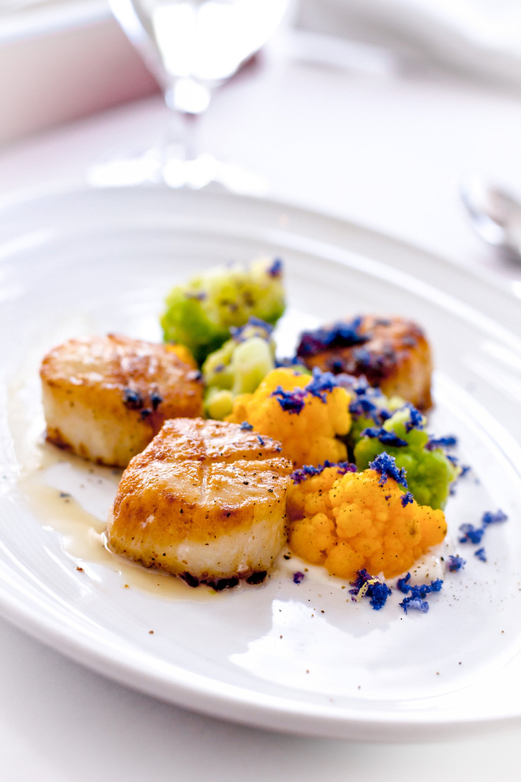 Top 9 Shrimp Substitutes: Tasty Seafood Alternatives - Superb Salt
